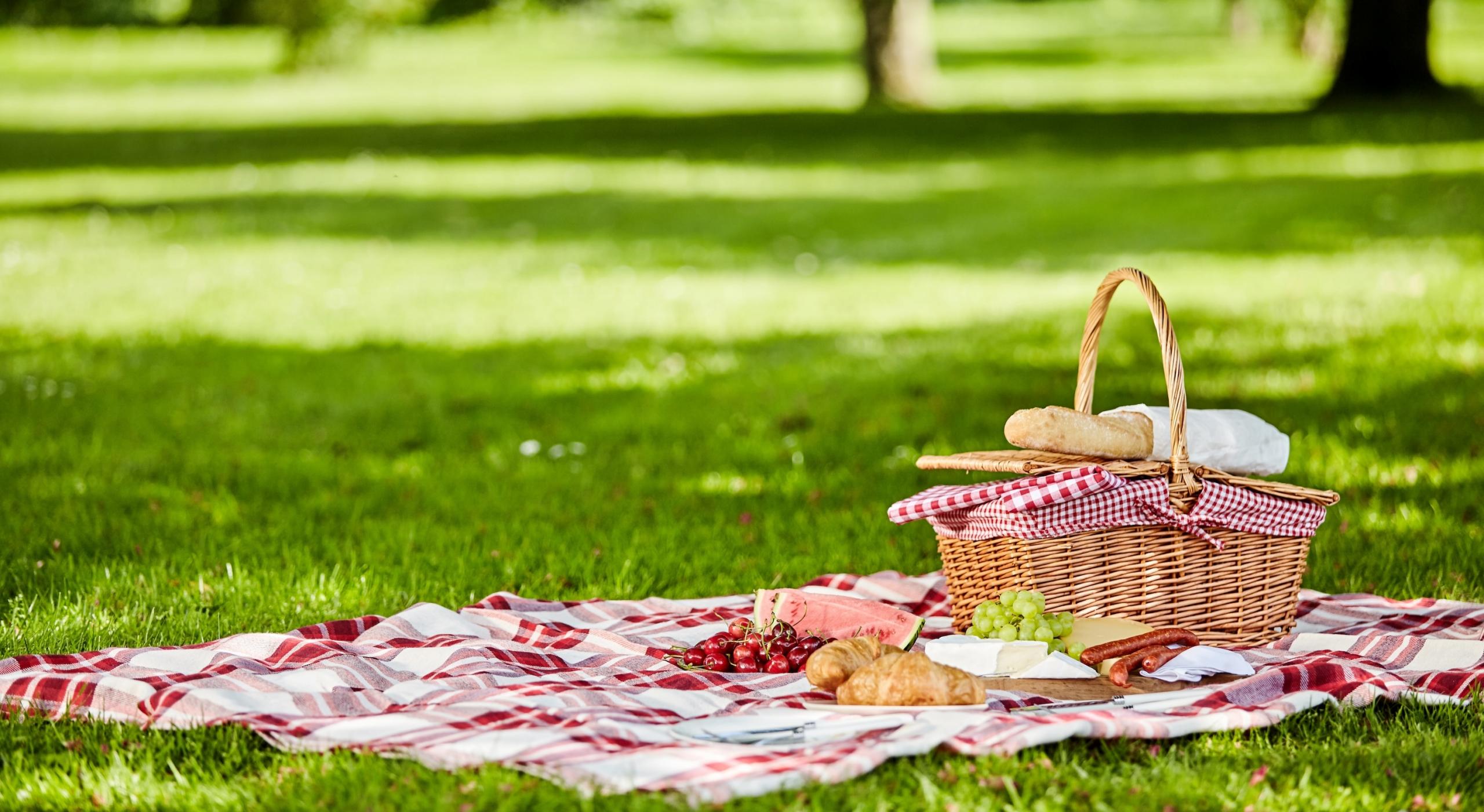 Hotel Les Rives Oceanik | Paris - Latin Quarter | Official Site